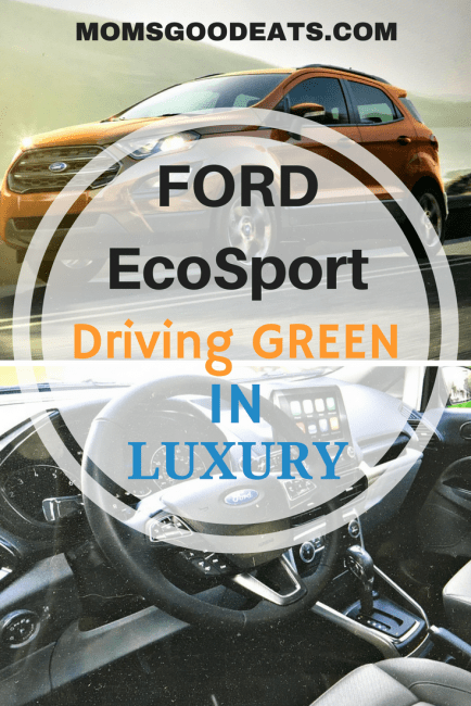 Ford EcoSport | Driving Green In Luxury | MomsGoodEats
